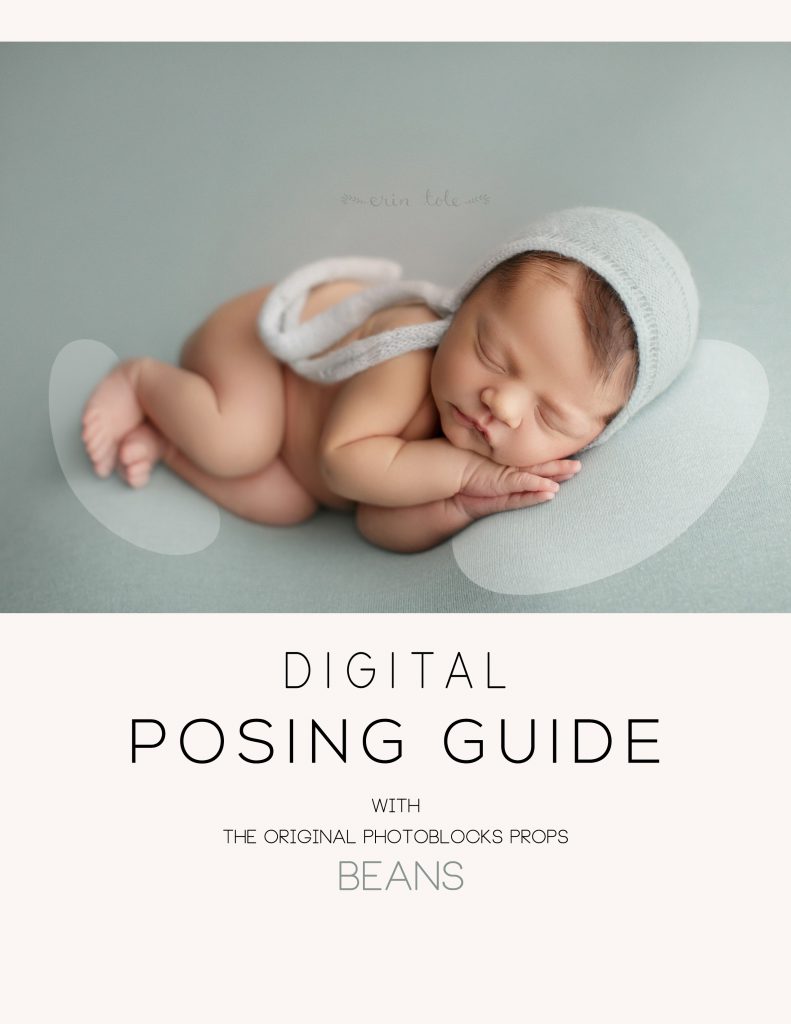 DIGITAL POSING GUIDE - The Original Photoblocks Props