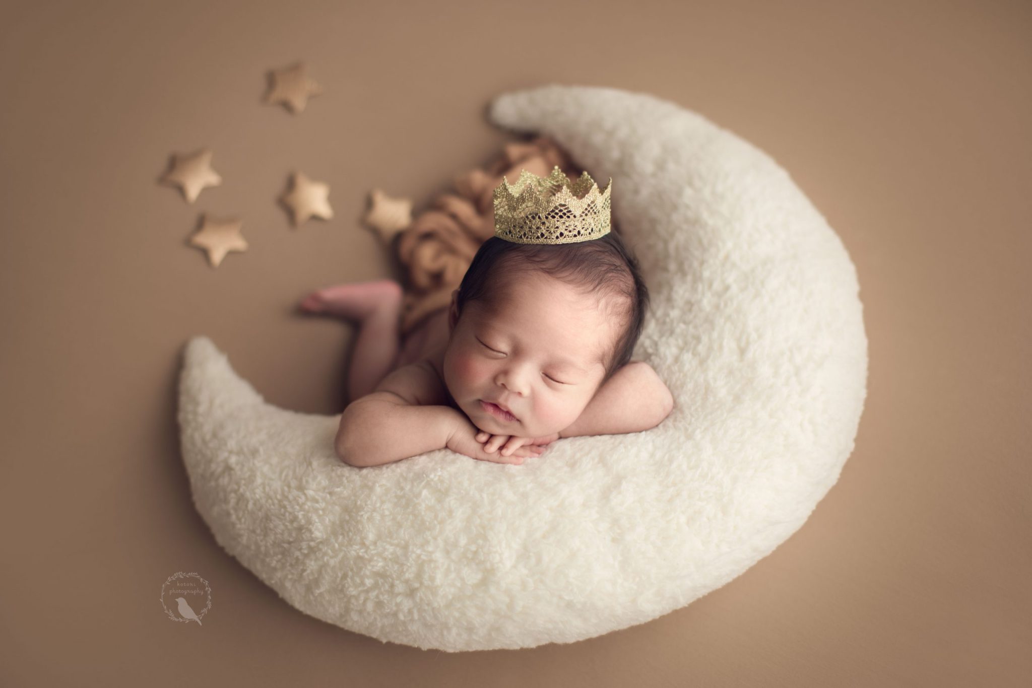 MOON PROP and STARS - TEDDY - The Original Photoblocks Props