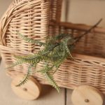 Greenery Archives - The Original Photoblocks Props